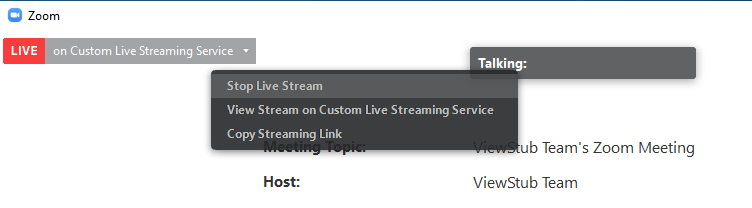 Livestreaming With Zoom | ViewStub